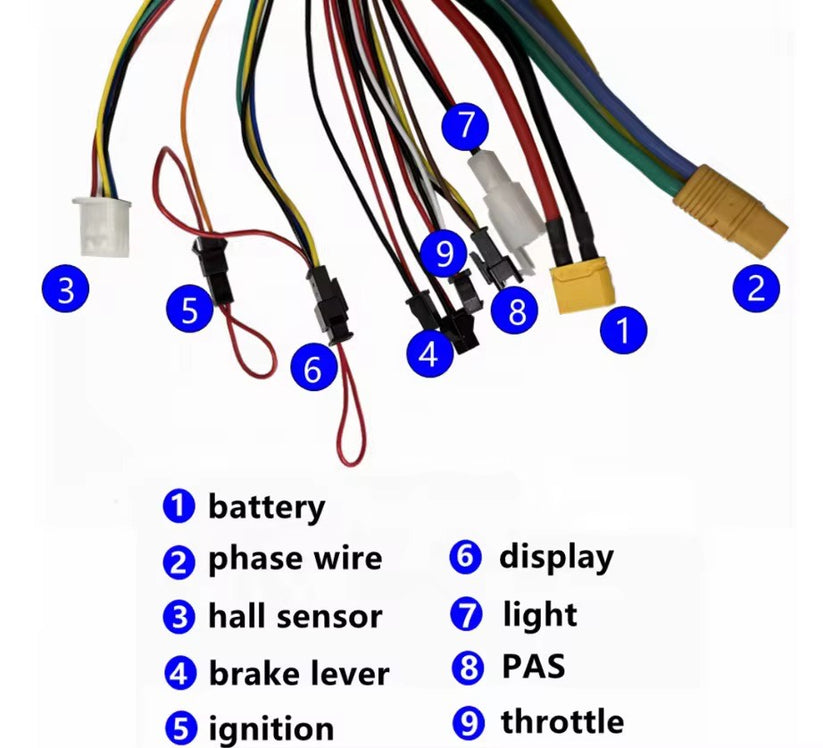 2Fast 1500W E-BIKE KIT – 2Fast Ebikes
